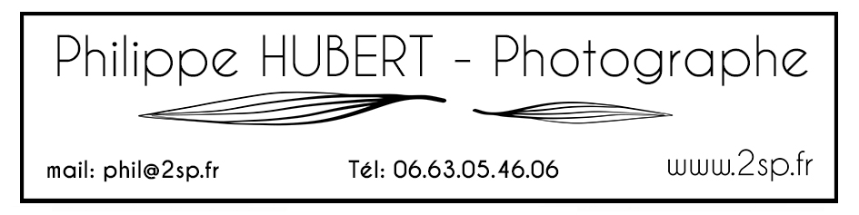 Philippe Hubert Photographe - BOLLENE RUGBY CLUB