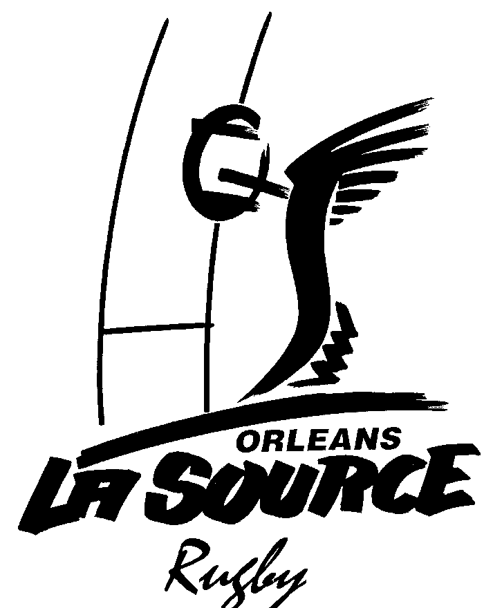 Résumé R C ORLEANS LA SOURCE - S A VIERZONNAIS